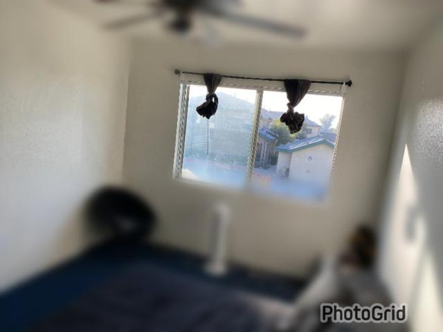 spare room in gated and safe apartment complex