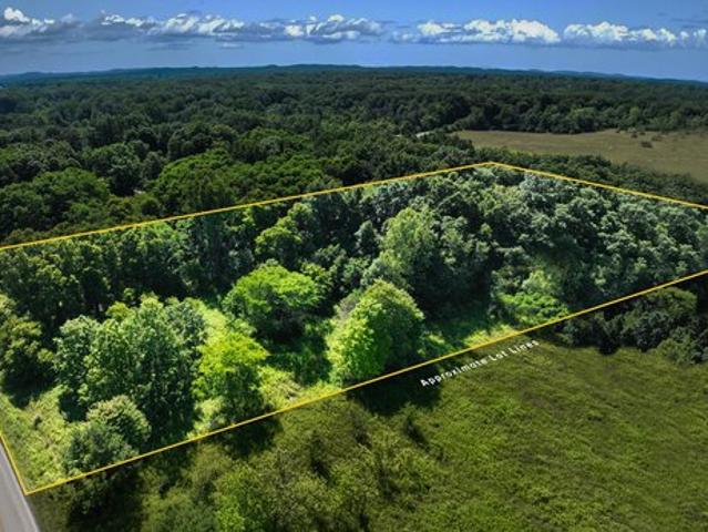 Sparling Lot 4 and Mayer Rd, Wales, MI 48027