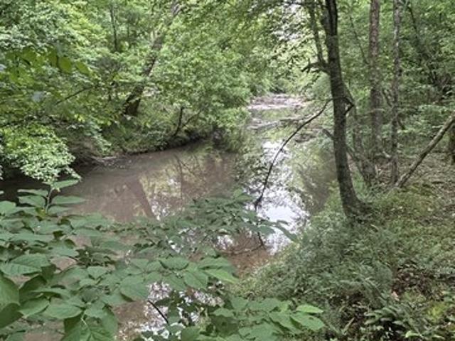 Sparta Rd, Crawfordville, GA 30631