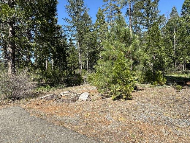 Speargrass Ct Lot 13, Shingletown, CA 96088