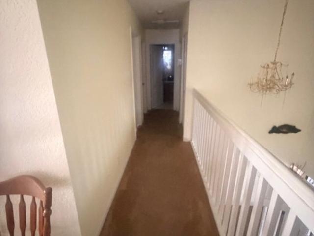 Specious Room for Rent in Royal Palm Utilities Inc