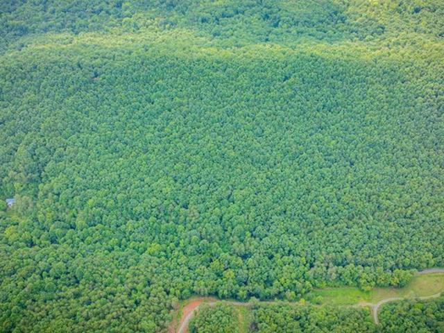 Speedwell Church Rd # 1, Bulls Gap, TN 37711
