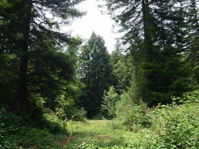 Speer Dr Lot 45, Crescent City, CA 95531