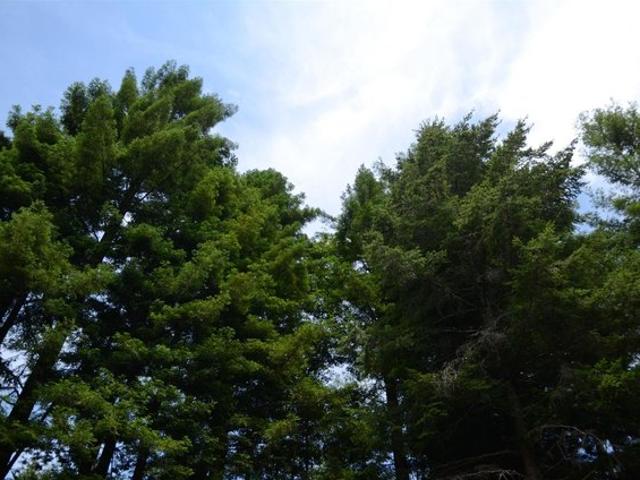 Speer Dr Lot 46, Crescent City, CA 95531