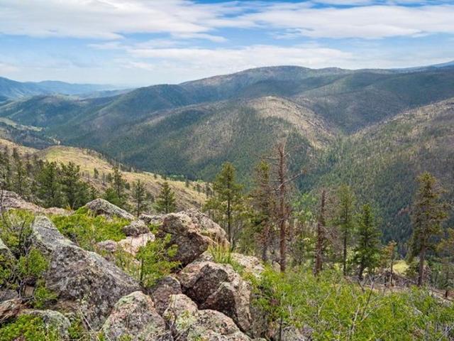 Spencer Mountain Rd, Bellvue, CO 80512