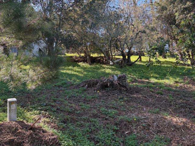 Spencer St, Cambria, CA 93428 | MLS #26000