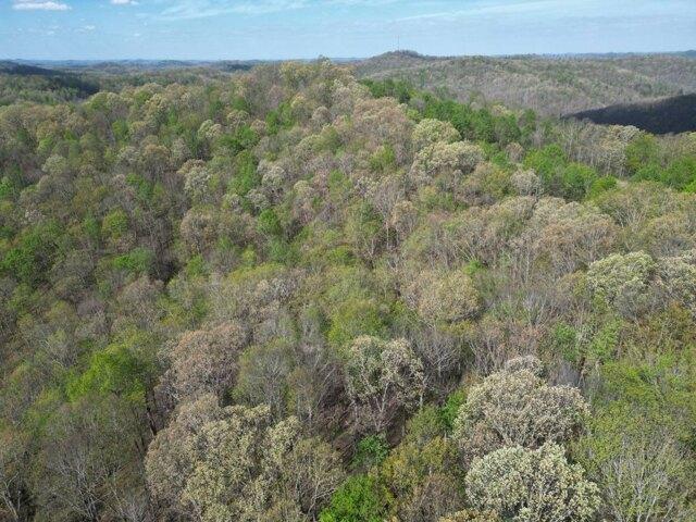 Spice Ridge Rd, Procious, Plot For Sale