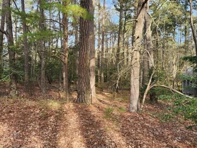 Spinnaker St Lot 2181, Greenbackville, VA 23356