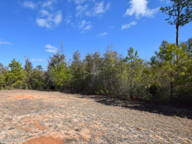 Spirit Ct, Alford, FL 32420 | MLS #785347