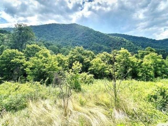 Split Pine Cv, Clyde, NC 28721