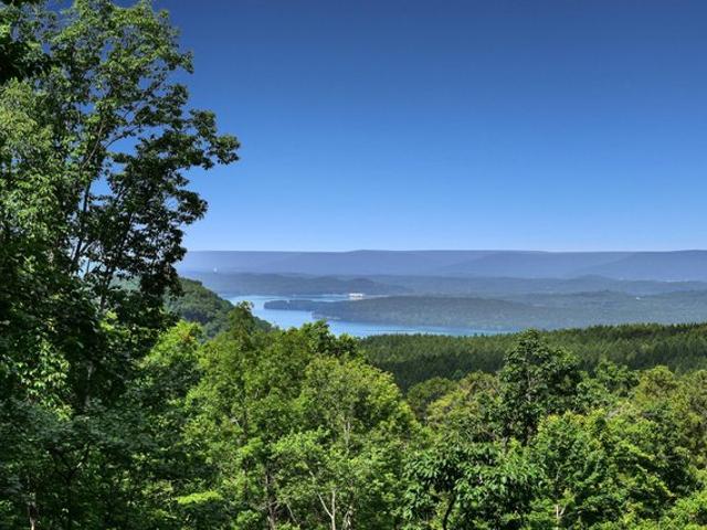 Split Rail Way, Guild, TN 37340