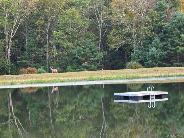 Split Rock Dr, Barryville, NY 12719