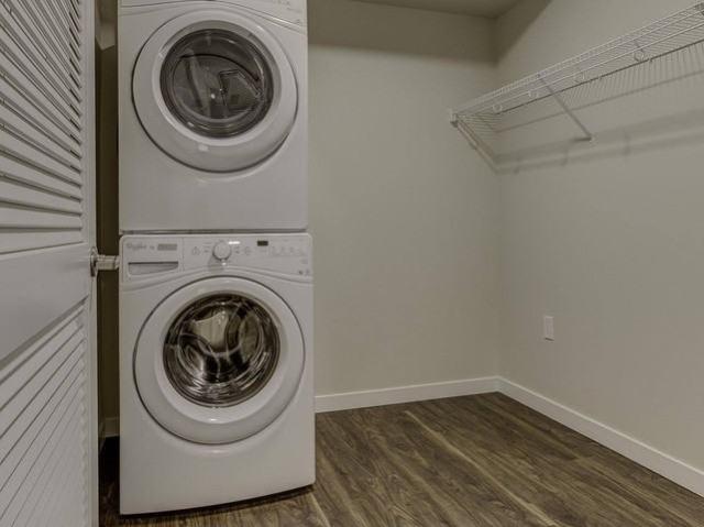 Spruce 1 Bedroom Apartment for Rent at 4555 39th Ave Sw, Seattle, WA 98116 Genesee