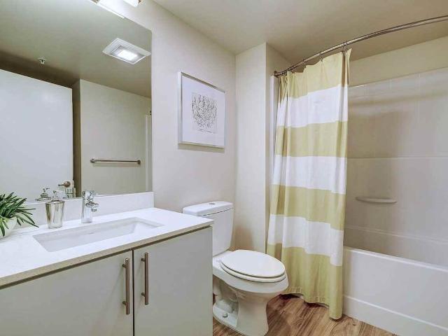 Spruce 1 Bedroom Apartment for Rent at 4555 39th Ave Sw, Seattle, WA 98116 Genesee