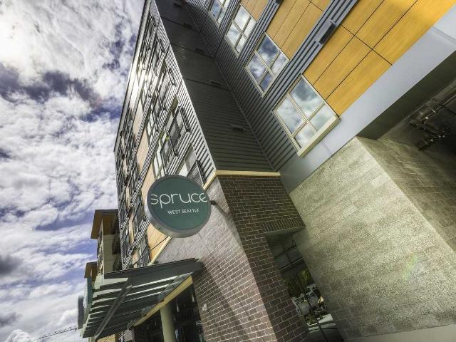 Spruce 1 Bedroom Apartment for Rent at 4555 39th Ave Sw, Seattle, WA 98116 Genesee