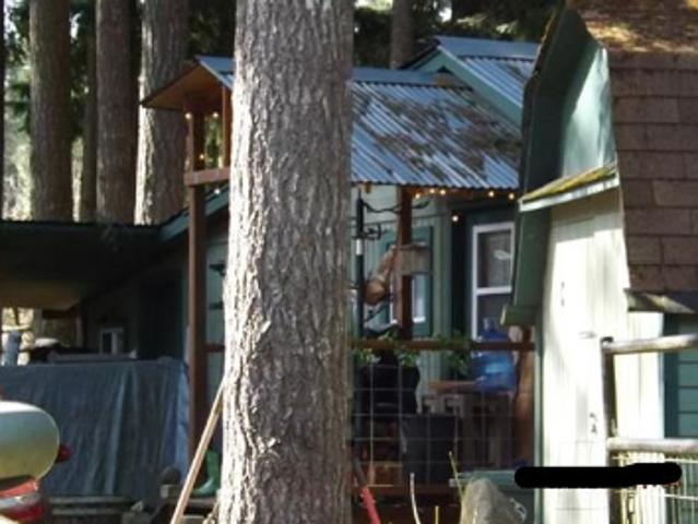 Spruce Ct