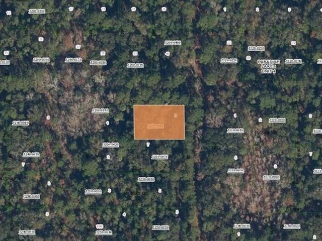 Spruce Dr, Georgetown, FL 32139