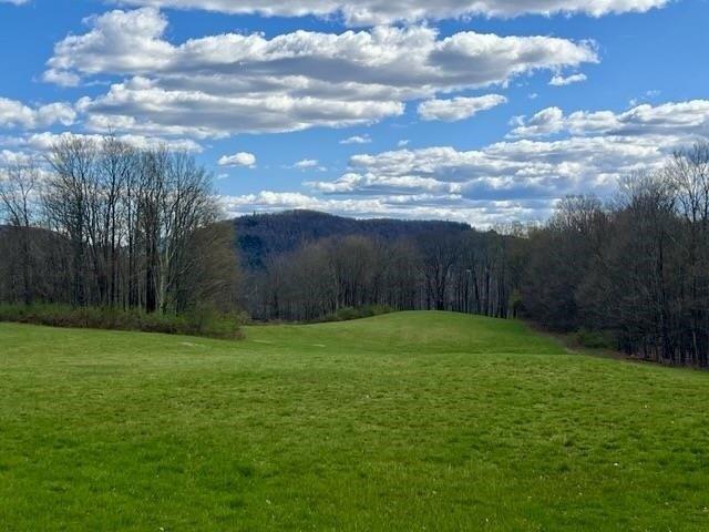 Spruce Knob Rd Lot 1, Middletown Springs, VT 05757