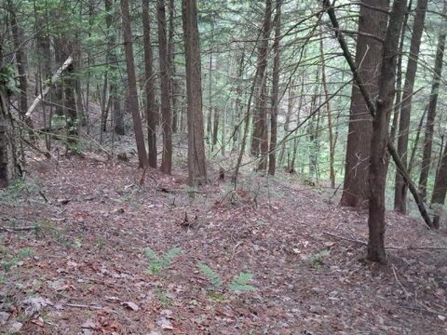 Spruce Ln Lot,eden, Plot For Sale