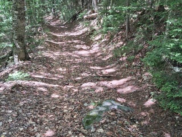 Spruce Ln Lot,eden, Plot For Sale