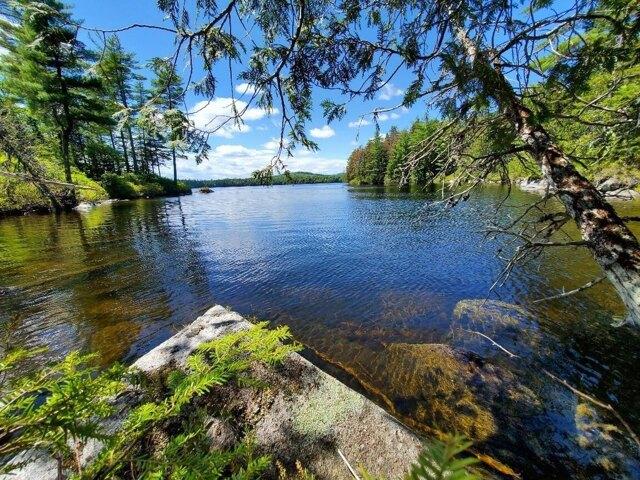 Spruce Mountain Lk, Beddington, Plot For Sale