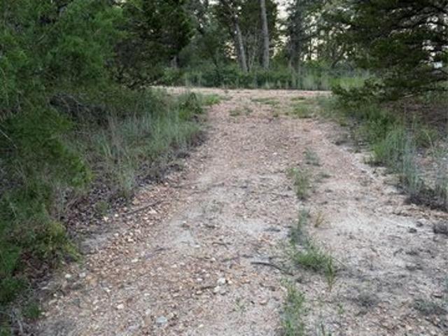Spruce St Lot 4, Paige, TX 78659