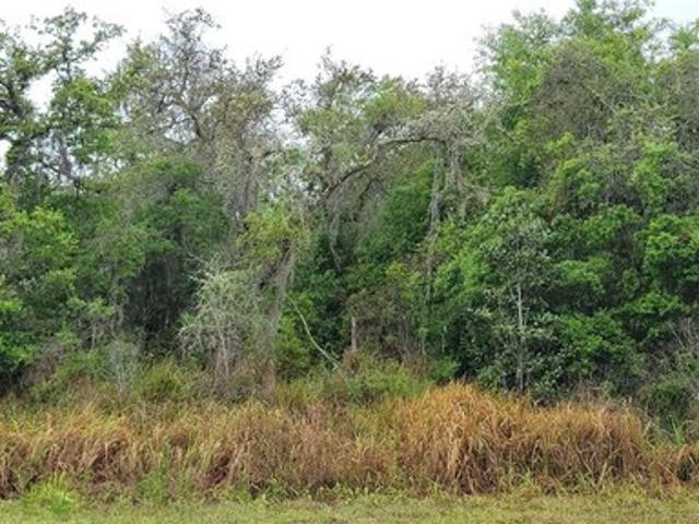 Spruce Rd, Ocala, FL 34472