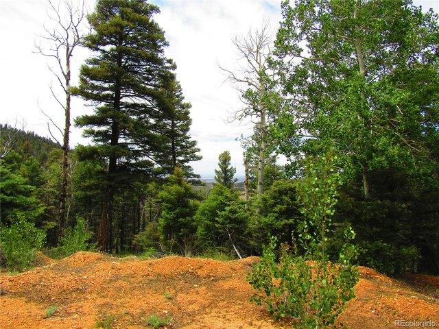 Spruce Rd Lot 6029, San Luis, CO 81152