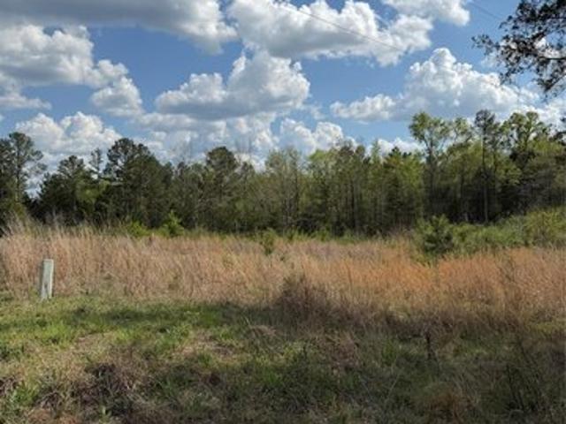 Springwood Lakes Rd, Chester, SC 29706