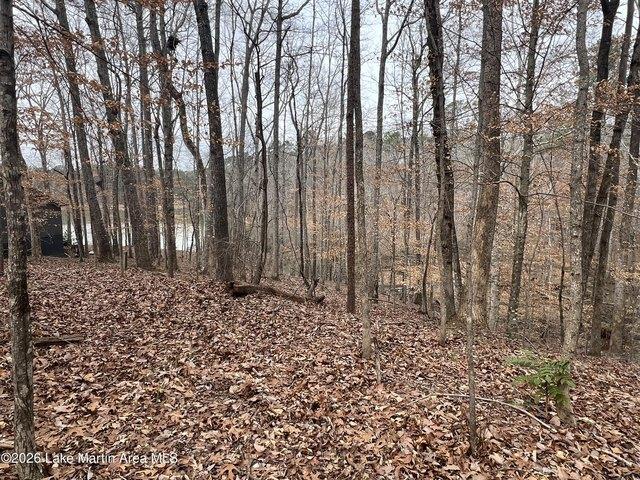 Springwood Ln Lot 30, Dadeville, AL 36853