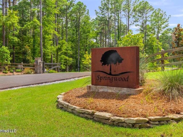Springwood Trail, Flora, MS 39071