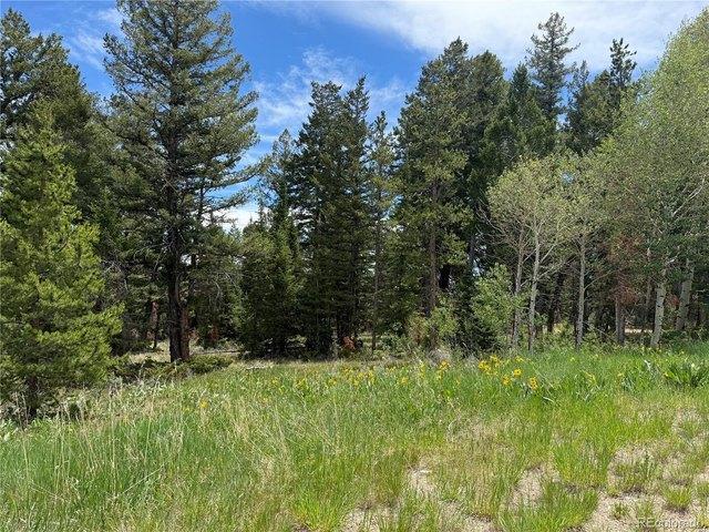 Spring Creek Ranch Rd Lot J, Silverthorne, CO 80498