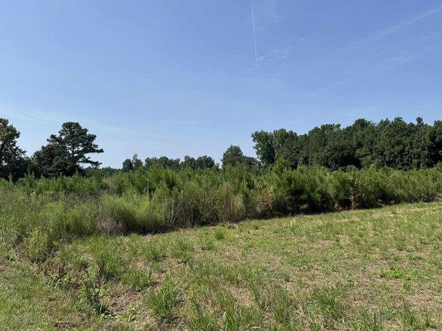 Spring Branch Rd, Nichols, SC 29581