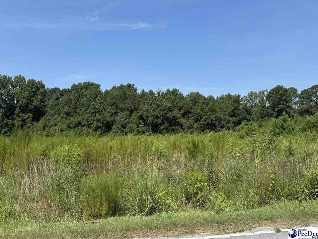 Spring Branch Rd, Nichols, SC 29581