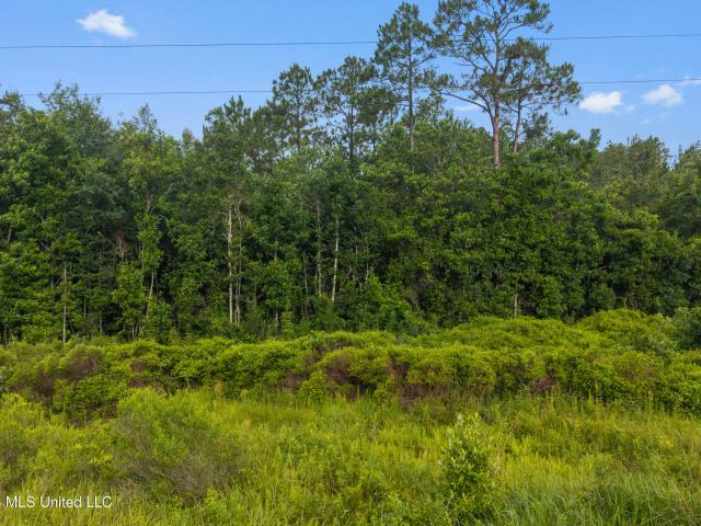 Spring Briar Trail, Saucier, MS 39574
