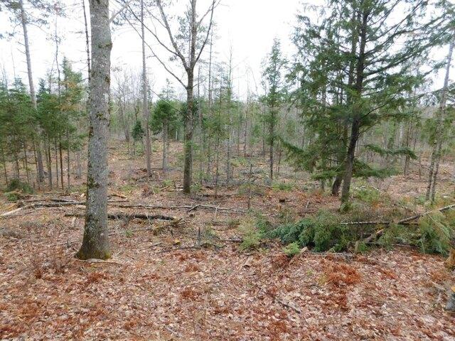 Spring Bridge Rd Lot,greenbush, Plot For Sale