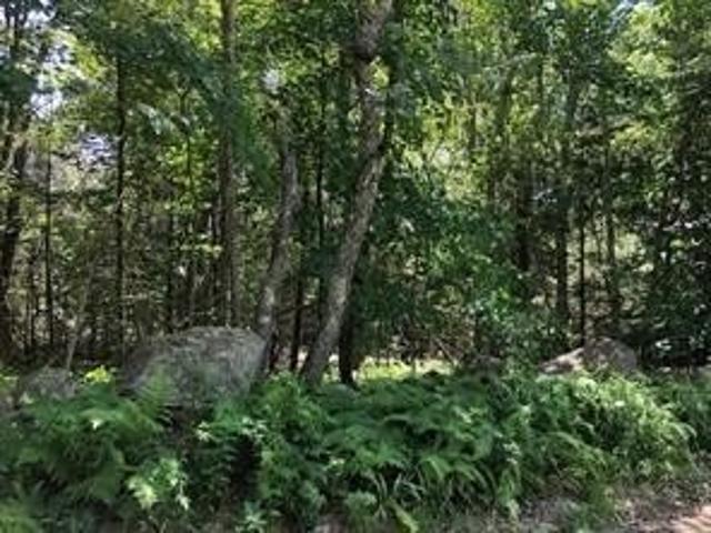 Spring Grove Rd, Glocester, Plot For Sale