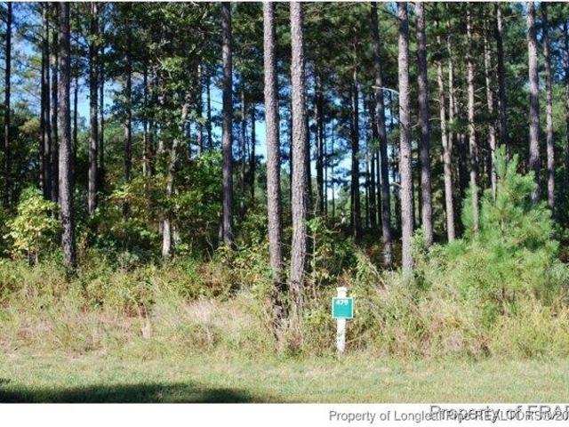 Spring Lake NC 28390 104909480