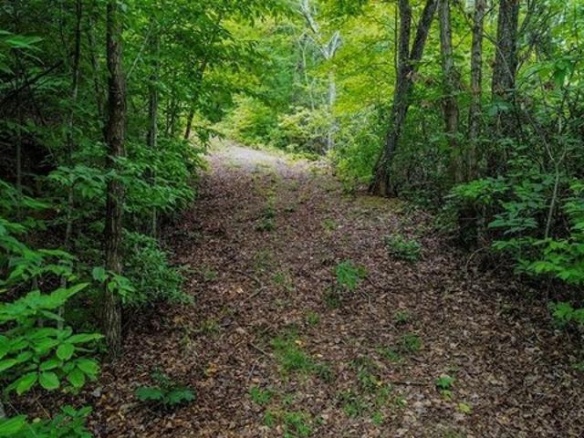 Spring Mountain Cir, Franklin, NC 28734