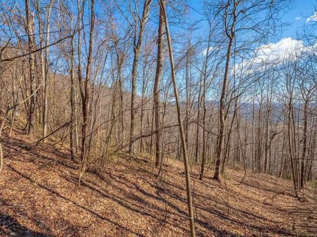 Spring Pond Trl Lot 117, Fancy Gap, VA 24328