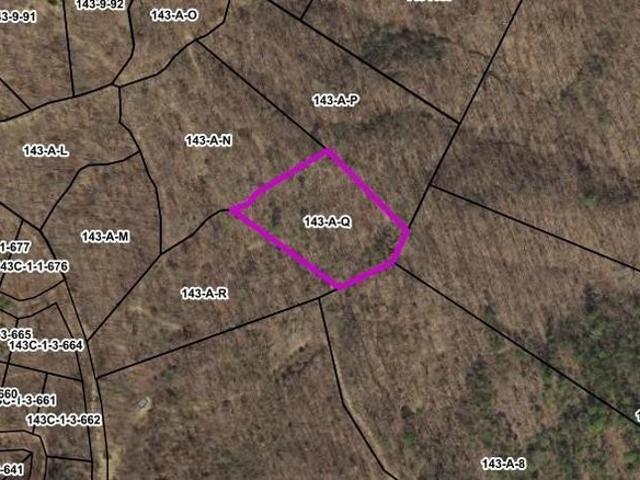 Spring Pond Trl Lot 116, Fancy Gap, VA 24328