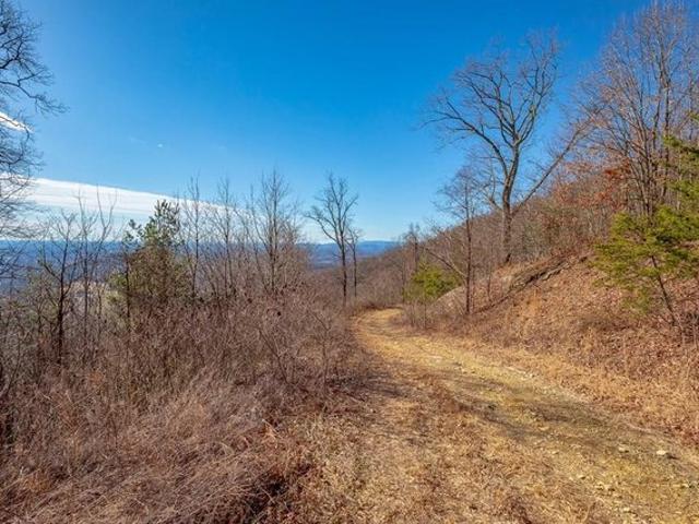 Spring Pond Trl Lot 118, Fancy Gap, VA 24328