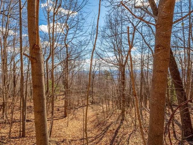 Spring Pond Trl Lot 124, Fancy Gap, VA 24328