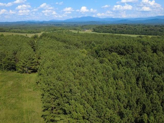 Spring Place Rd SE, Cleveland, TN 37323