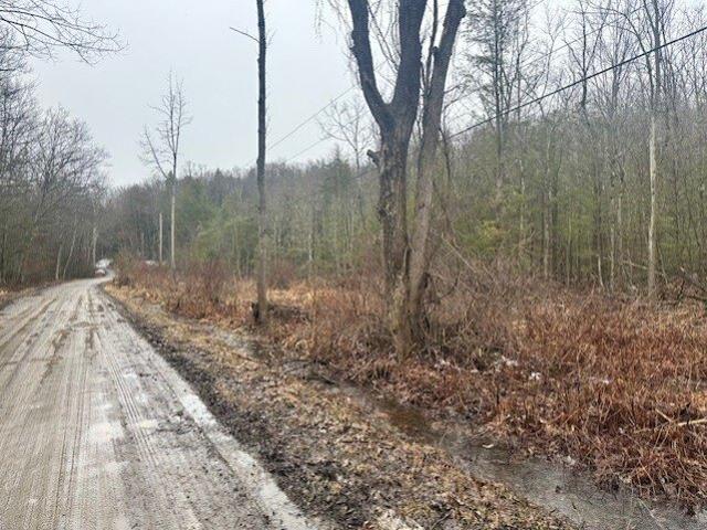 Spring Rd S, Dansville, Plot For Sale