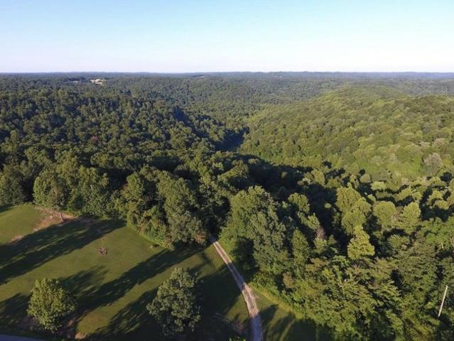 Spring Rd, Wallingford, KY 41093
