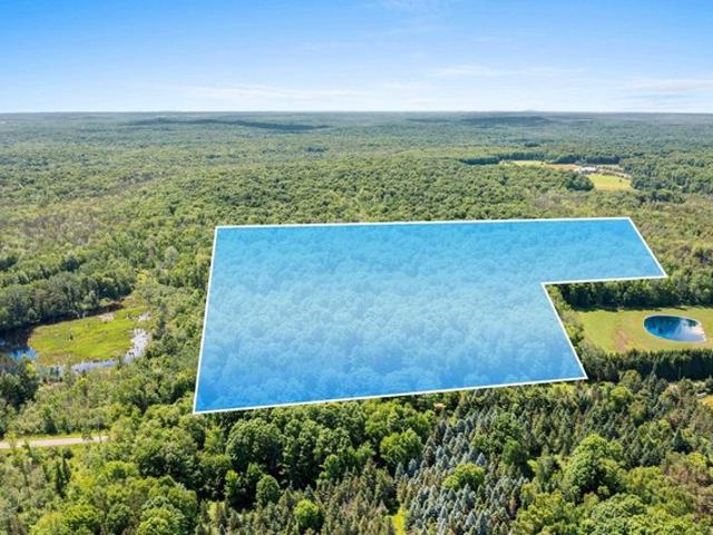 Springbrook Rd, Tigerton, WI 54486