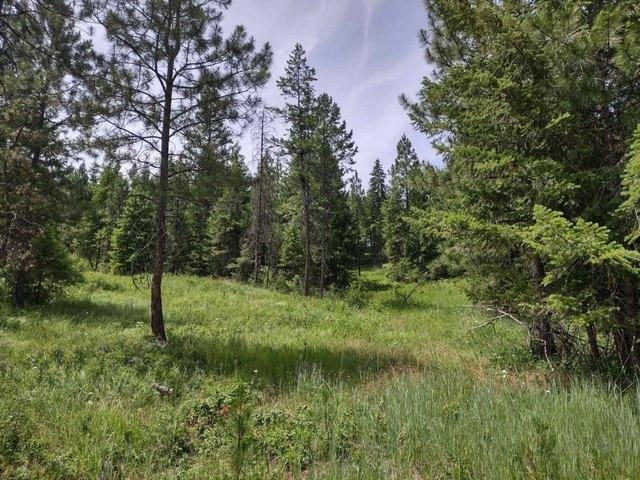 Springdale Hunters Hwy, Springdale, WA 99173