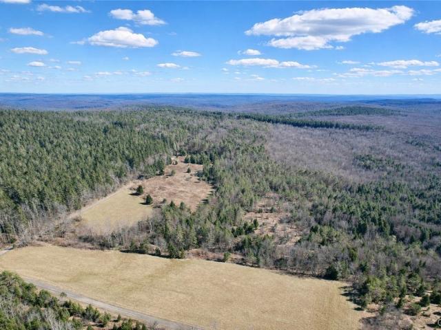Springer Rd, De Ruyter, NY 13052 | MLS #S1673 | Compass