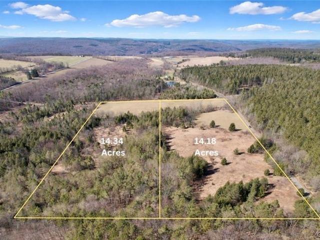 Springer Rd, DeRuyter, NY 13052